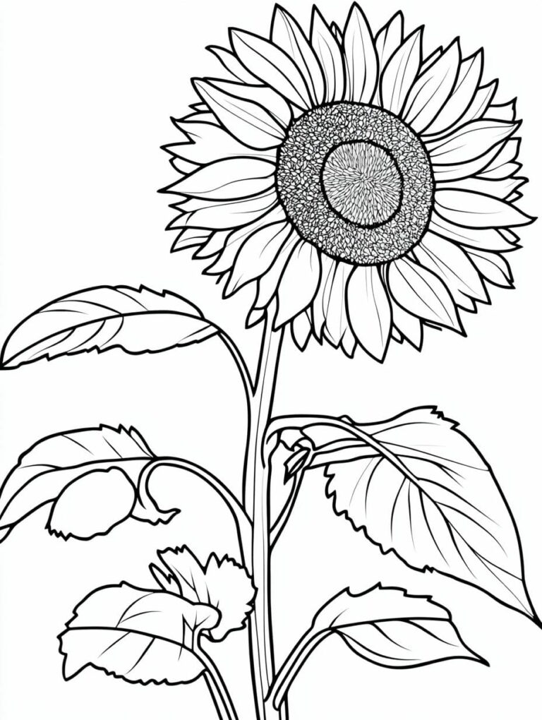 20+ free sunflower coloring pages 🌻🎨 - Coloringpagesforkids.net