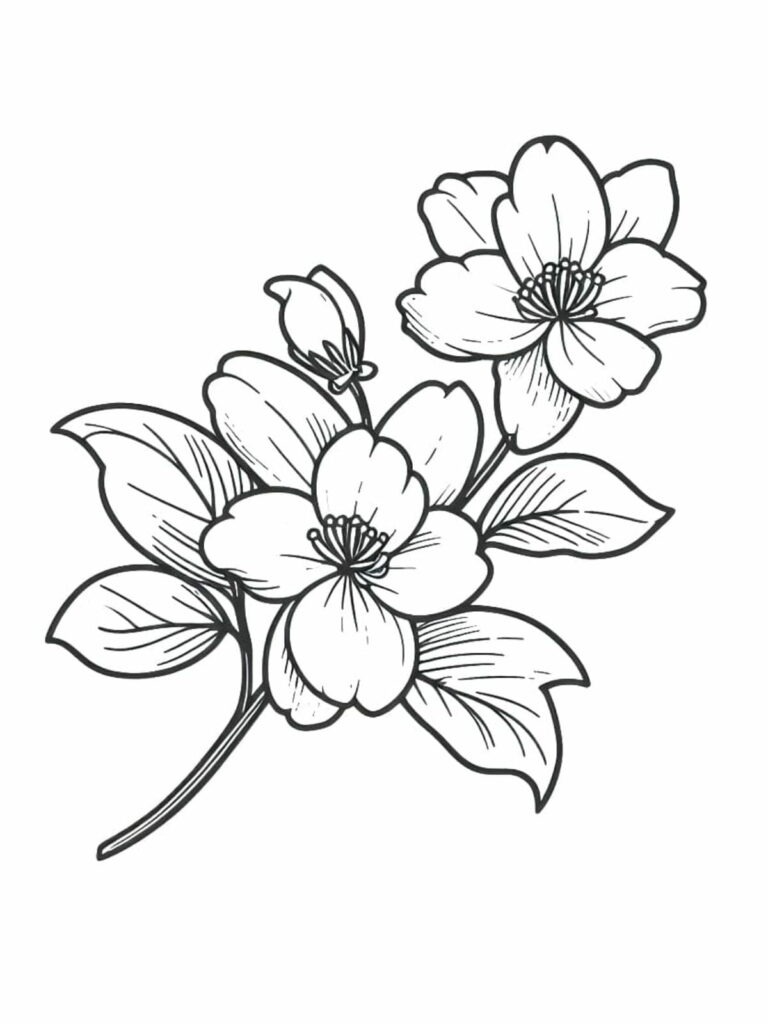 20+ Printable Jasmine Flower Coloring Pages - Coloringpagesforkids.net