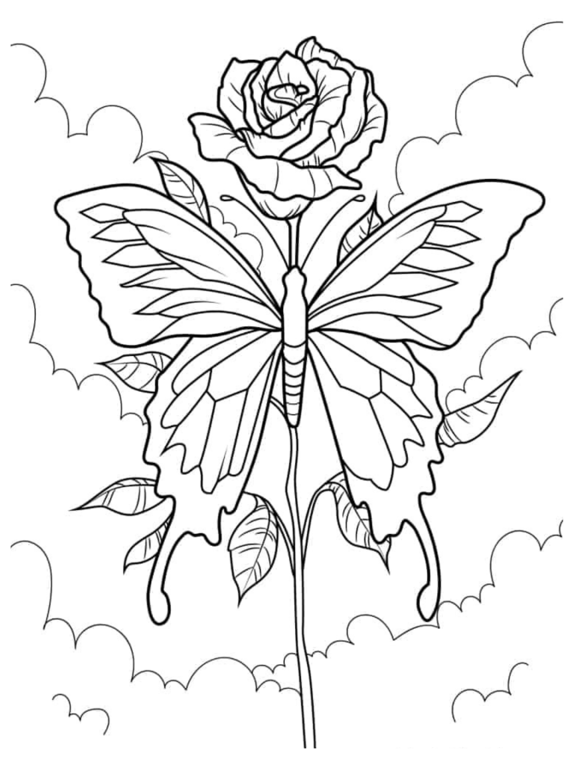 Explore 20+ rose coloring pages 🌹🎨 - Coloringpagesforkids.net