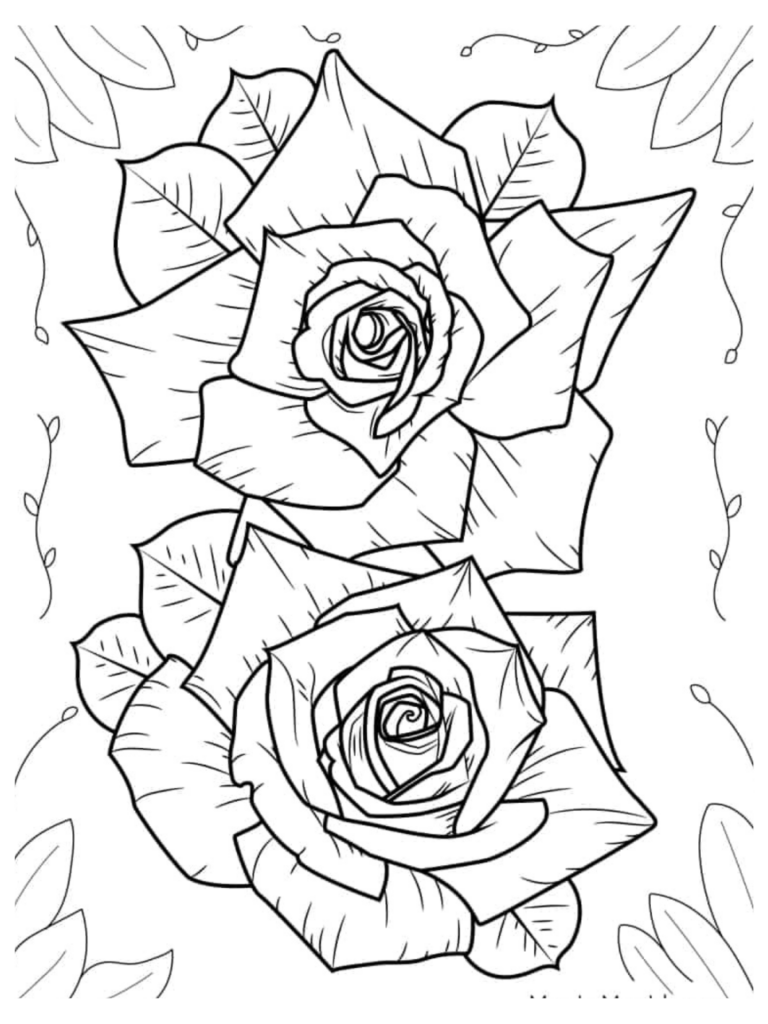 Explore 20+ rose coloring pages 🌹🎨 - Coloringpagesforkids.net