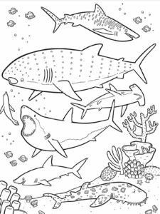 Le 20+ migliori pagine da colorare di animali marini per bambini ...