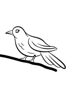 30+ Free Bird Coloring Pages For All Ages - Coloringpagesforkids.net
