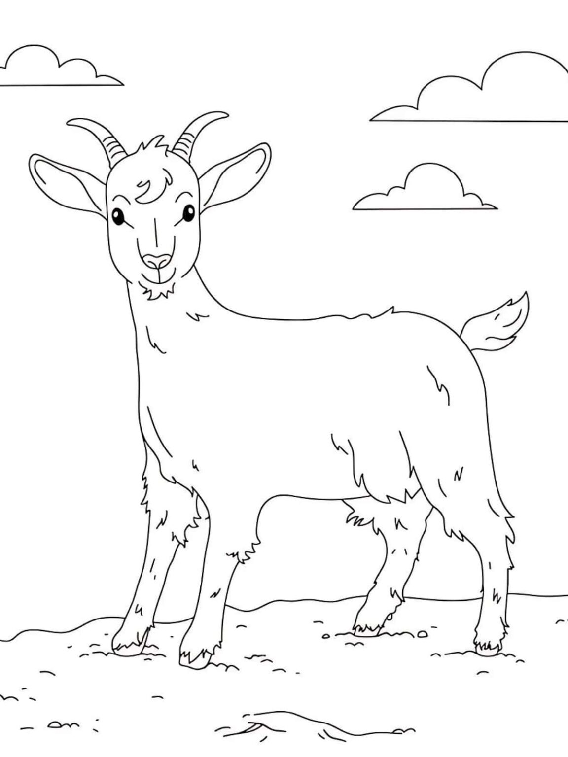 Jelajahi Dunia 30+ Halaman Mewarnai Kambing 🐐🎨 - Coloringpagesforkids.net
